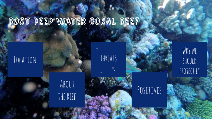 Røst Deep Water Coral Reef by Ryan Richardson on Prezi