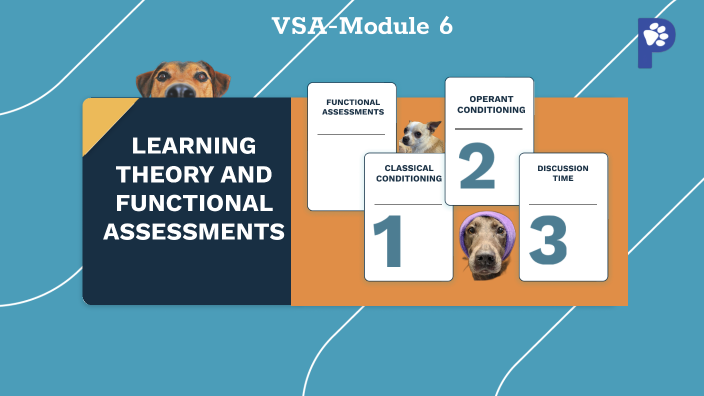 VSA Module 6 Presentation by Salvador LLoveras on Prezi
