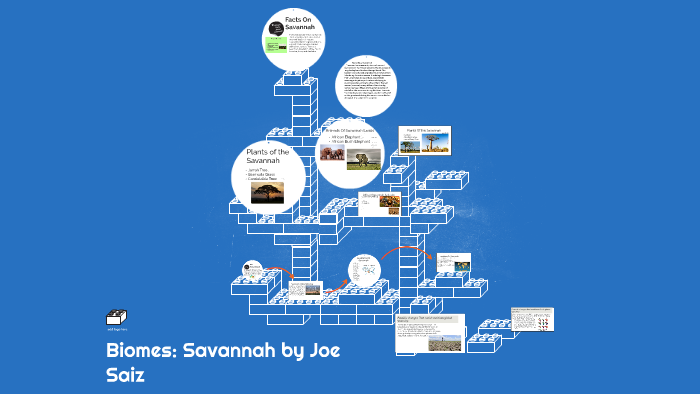 Biomes: Savannah by Joe Saiz by Joe Saiz on Prezi