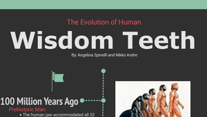 The Evolution of Wisdom Teeth by Angelina Spinelli on Prezi Design