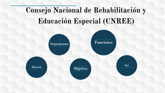 : Consejo Nacional de Rehabilitación y Educación Especial (CNREE) by ...