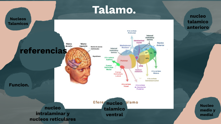Talamo by jose yela on Prezi