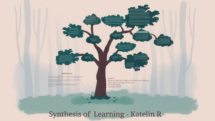 Synthesis of Learning - Sociology of Ed - Katelin by Katelin Ritter on ...