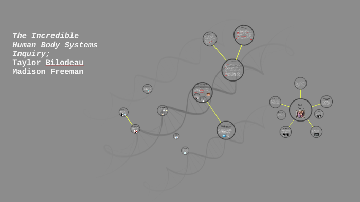 The Incredible Human Body Systems Inquiry; by madison freeman on Prezi