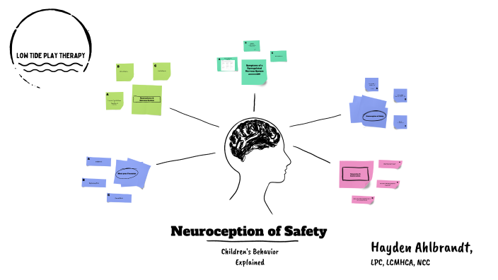 Neuroception of Safety: Children's Behavior Explained by Hayden ...