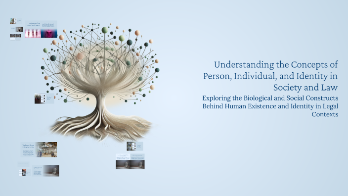 Understanding the Concepts of Person, Individual, and Identity in ...