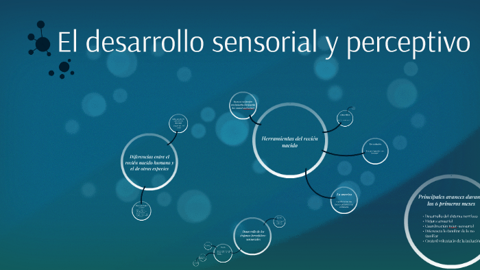 El desarrollo sensorial y perceptivo by Sara de León on Prezi