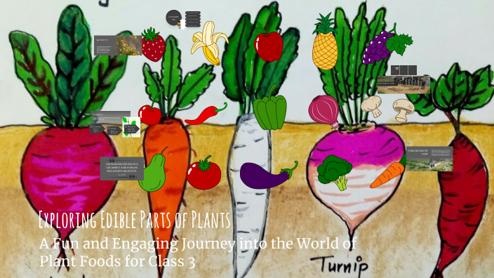 Exploring Edible Parts of Plants by Man Singh on Prezi
