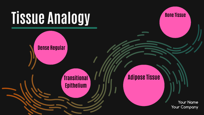 Tissue Analogy by Carrie Brown on Prezi