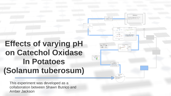 Effects of varying pH on Catechol Oxidase by Amber Jackson on Prezi