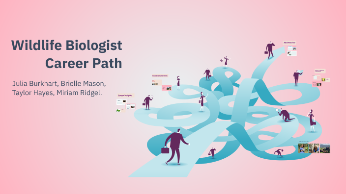 Wildlife Biologist Career Path by Julia Burkhart on Prezi
