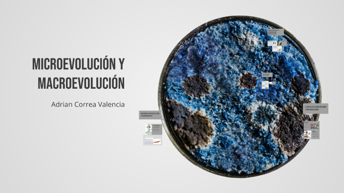 MICROEVOLUCIÓN Y MACROEVOLUCIÓN by Adrian Correa on Prezi