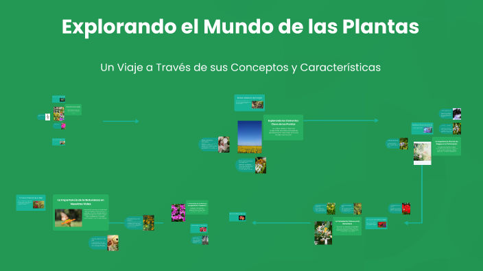 Explorando el Mundo de las Plantas by Amy Espinoza on Prezi