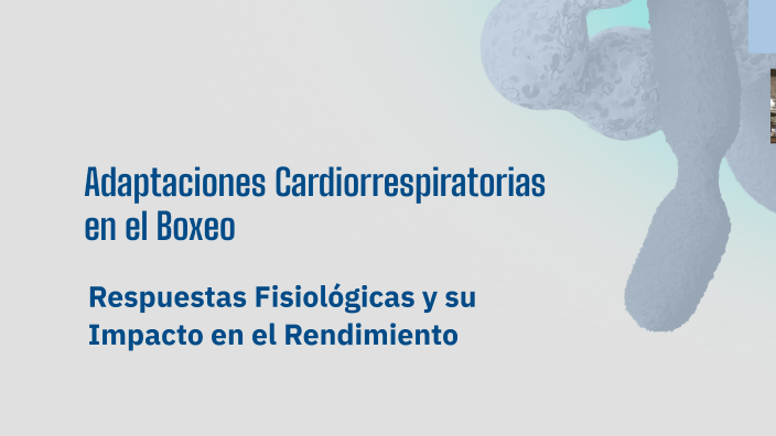 Adaptaciones Cardiorrespiratorias en el Boxeo by alejandro parra on Prezi