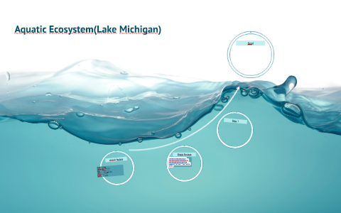 Aquatic Ecosystem(Lake Michigan) by mckenzie mashburn on Prezi