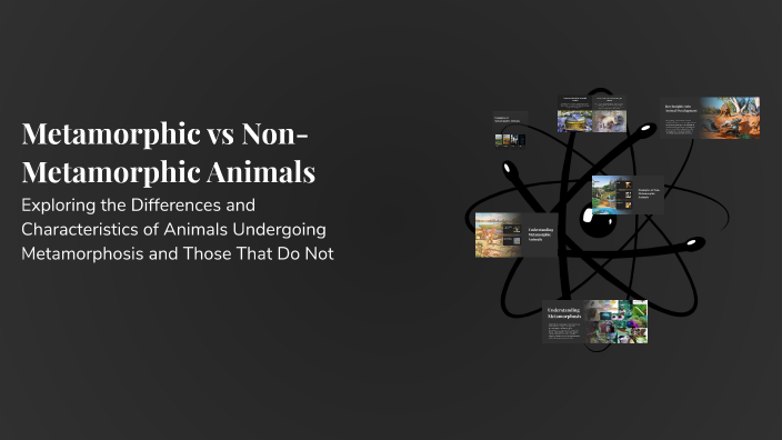 Metamorphic vs Non-Metamorphic Animals by navreet kaur on Prezi