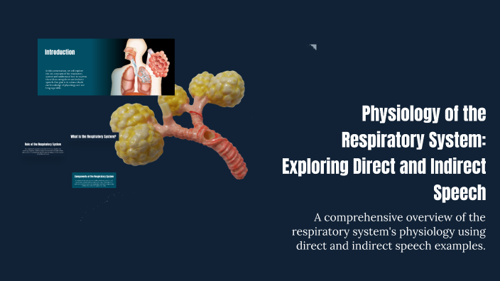 Physiology of the Respiratory System: Exploring Direct and Indirect ...