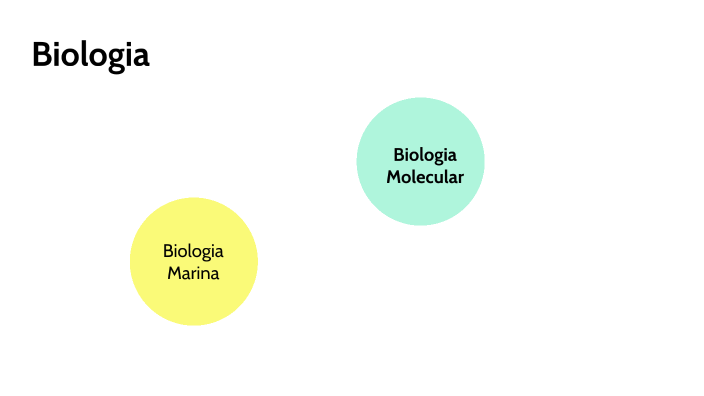 Primera Serie by Vanessa Rodas on Prezi