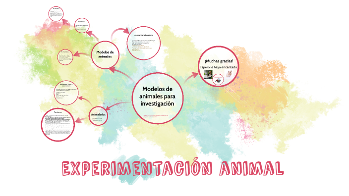 Modelos animales de experimentación by Karen Cajamarca on Prezi