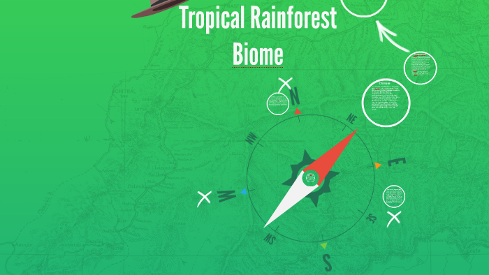 Tropical Rainforest Biome by Tafari Shambe on Prezi
