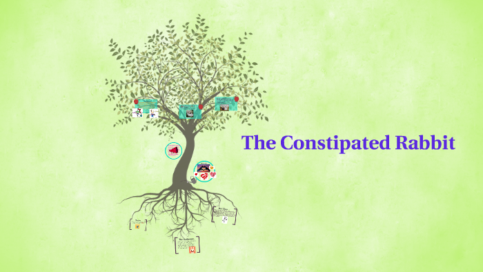 The Constipated Rabbit by Darby Foster on Prezi