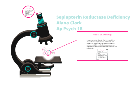 Sepiapterin Reductase Deficiency by on Prezi