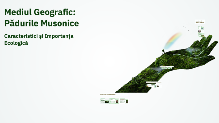Mediul Geografic: Pădurile Musonice by teofil chifor on Prezi