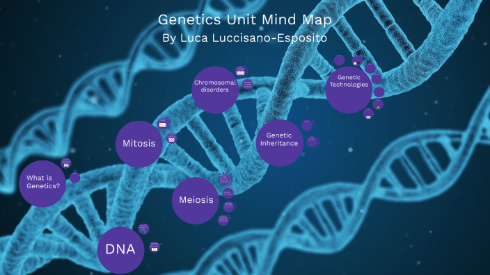 Genetics Unit Mind Map by Luca on Prezi