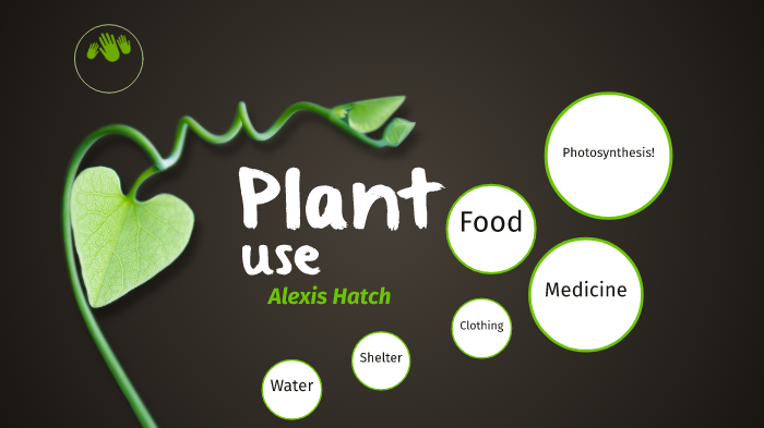 How plants help us by on Prezi