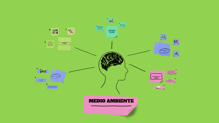 MEDIO AMBIENTE by Iris Fraga on Prezi