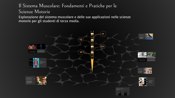 Il Sistema Muscolare: Fondamenti e Pratiche per le Scienze Motorie by ...