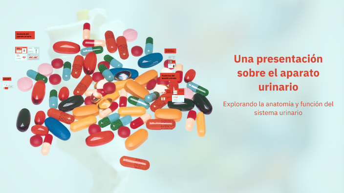 Una presentación sobre el aparato urinario by ADRIANA TUBERT CANAL on Prezi