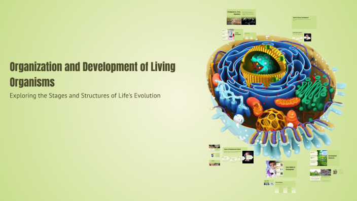Organization and Development of Living Organisms by Juliana Castro on Prezi