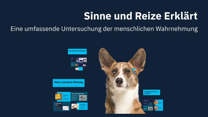 Sinne und Reize Erklärt by Laurin Neiger on Prezi