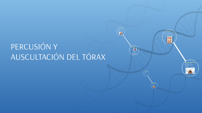 PERCUSIÓN Y AUSCULTACIÓN DEL TÓRAX by Henry Gallegos on Prezi