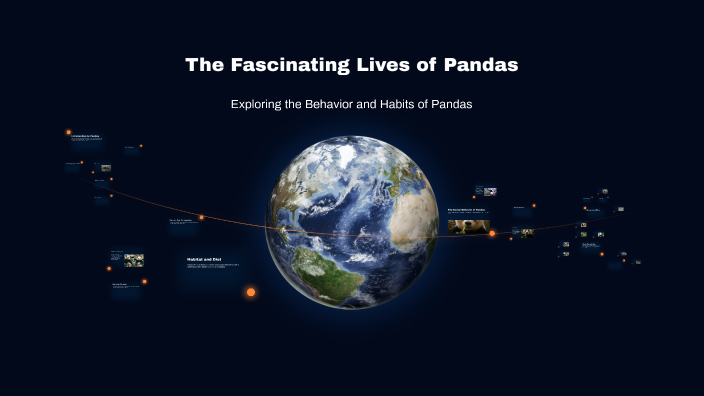 The Fascinating Lives of Pandas by Ali Emir Dinç on Prezi The Fascinating Lives of Pandas by Ali Emir Dinç on Prezi