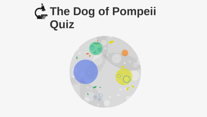 The Dog of Pompeii Quiz by Marie Semrow on Prezi