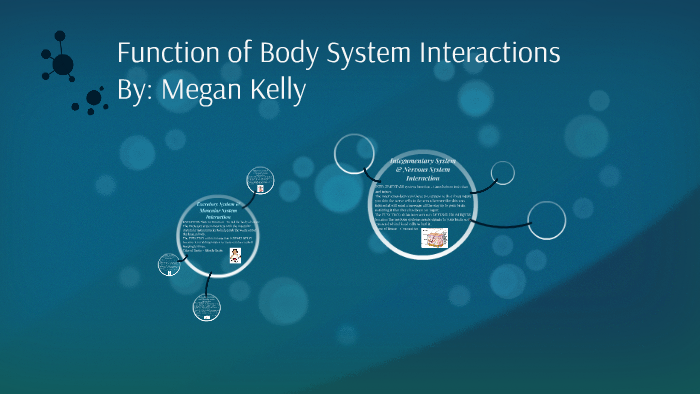 Function of Body System Interactions by Megan Kelly on Prezi