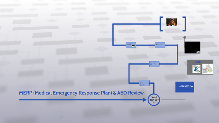 MERP (Medical Emergency Response Plan) & AED Review by Karen Leinhauser
