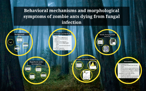 Behavioral mechanisms and morphological symptoms of zombie a by Jill ...