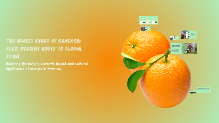 The Journey of Oranges: From Origin to American Cultivation by Jamaya ...