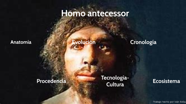 homo antecessor by ivan solla on Prezi