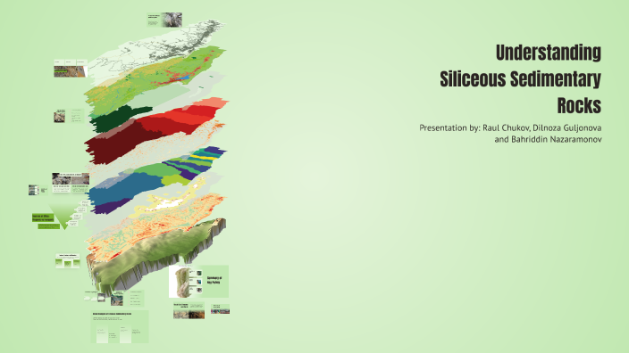 Understanding Siliceous Sedimentary Rocks by Dilnoza Guljonova on Prezi