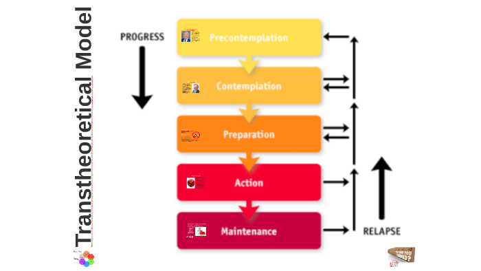 Transtheoretical Model by Alisa Burrows on Prezi
