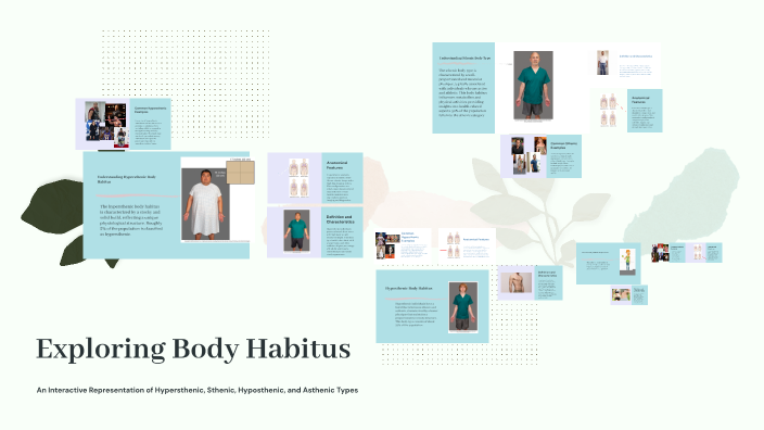 Exploring Body Habitus by Amanda Papenbrock on Prezi
