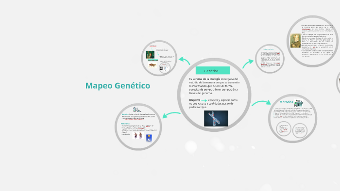 MApeo Genetico by Rafael Reyes on Prezi