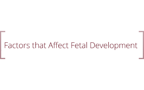 Factors that Affect Fetus Development by Erica Lee on Prezi