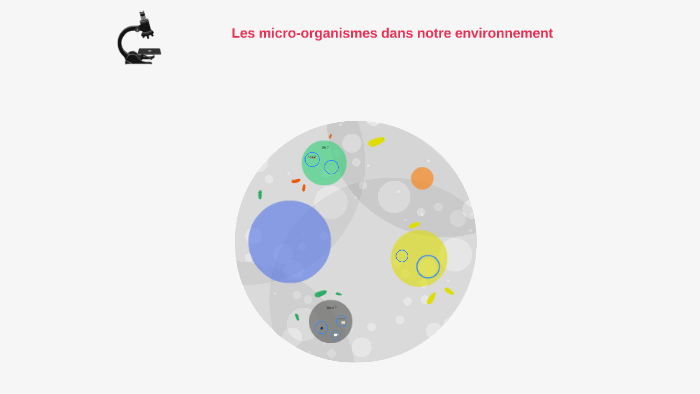 Les différents types de micro-organismes by Cyril Charlot on Prezi