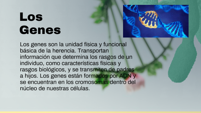 Genes y Funciones by Majito velastegui on Prezi