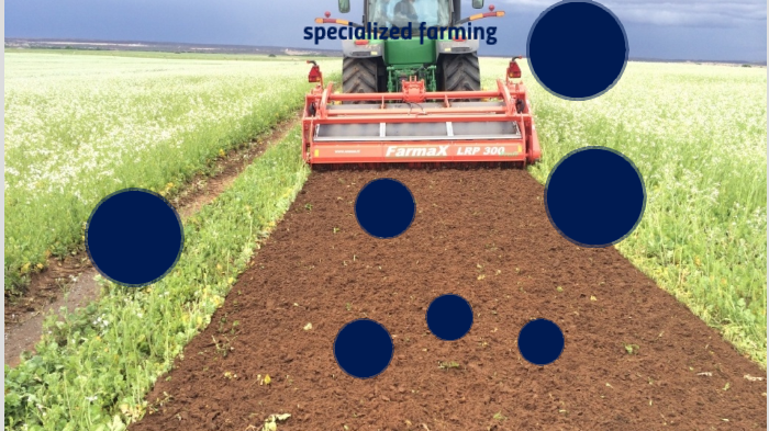 specialized farming by Sameena Begum on Prezi